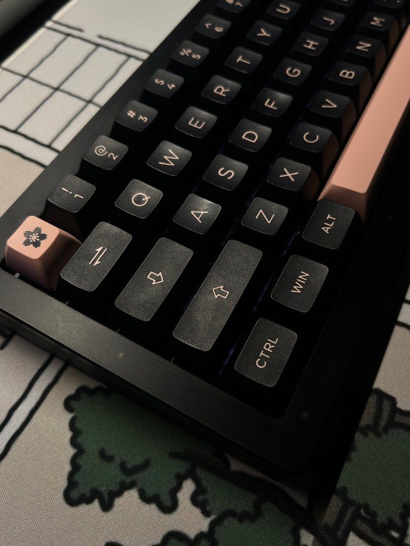 AKKO ACR Pro 68 — Acrylic Gasket Mount Mechanical Keyboard in Black ...