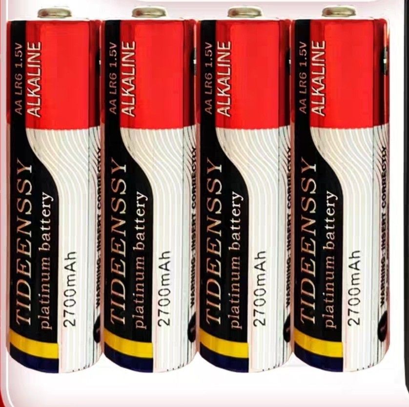 Bexel and DMEGC battery Digital lock, Furniture & Home Living, Security ...