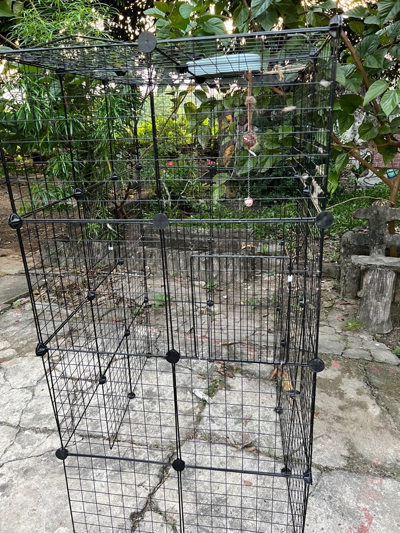 Cat Black Cage, Pet Supplies, Homes & Other Pet Accessories on Carousell