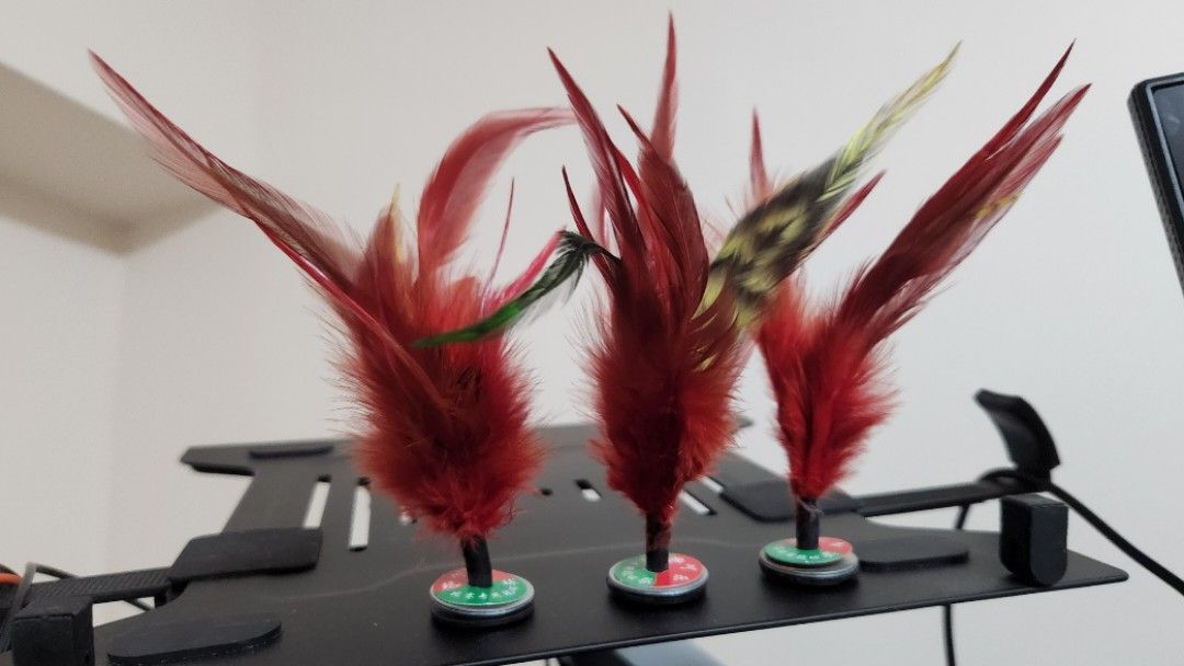 Chapteh, Hobbies & Toys, Toys & Games on Carousell