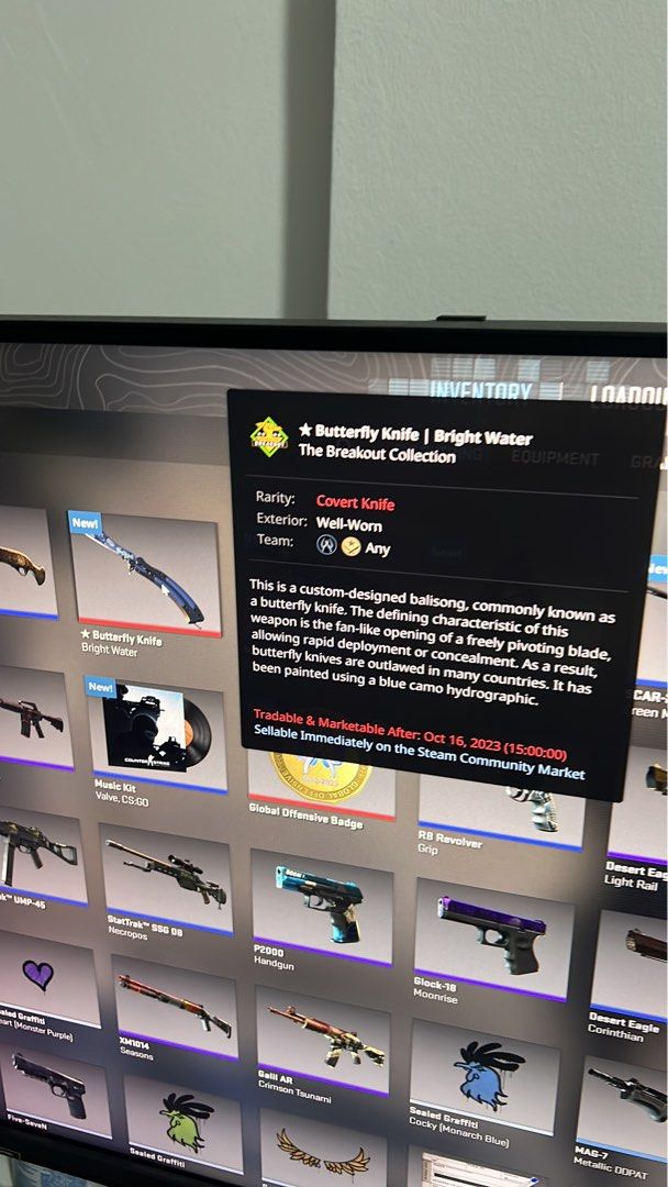 WTS/WTT CSGO CS2 Butterfly Knife Bright Water Well-Worn, Video Gaming ...