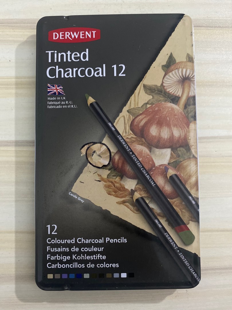 Derwent Tinted Charcoal Pencils (12 pc-set), Hobbies & Toys, Stationary & Craft, Art & Prints on ...