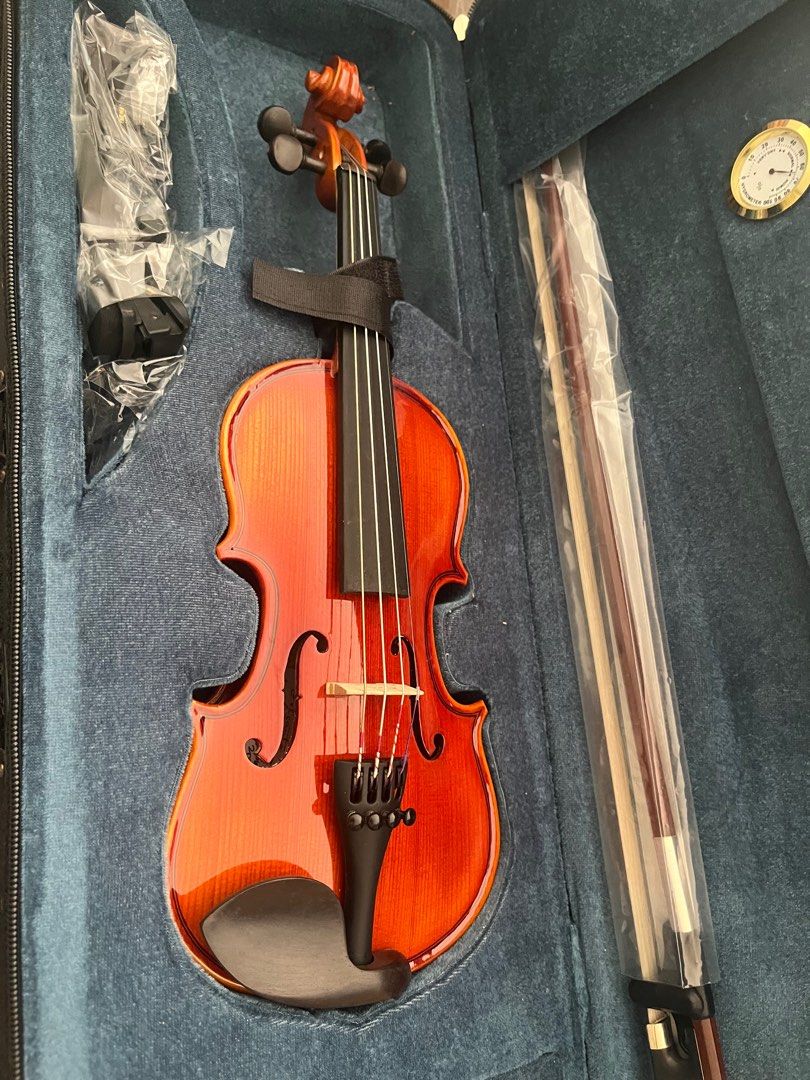 Handmade 1/10 violin one piece back, Hobbies & Toys, Music & Media ...