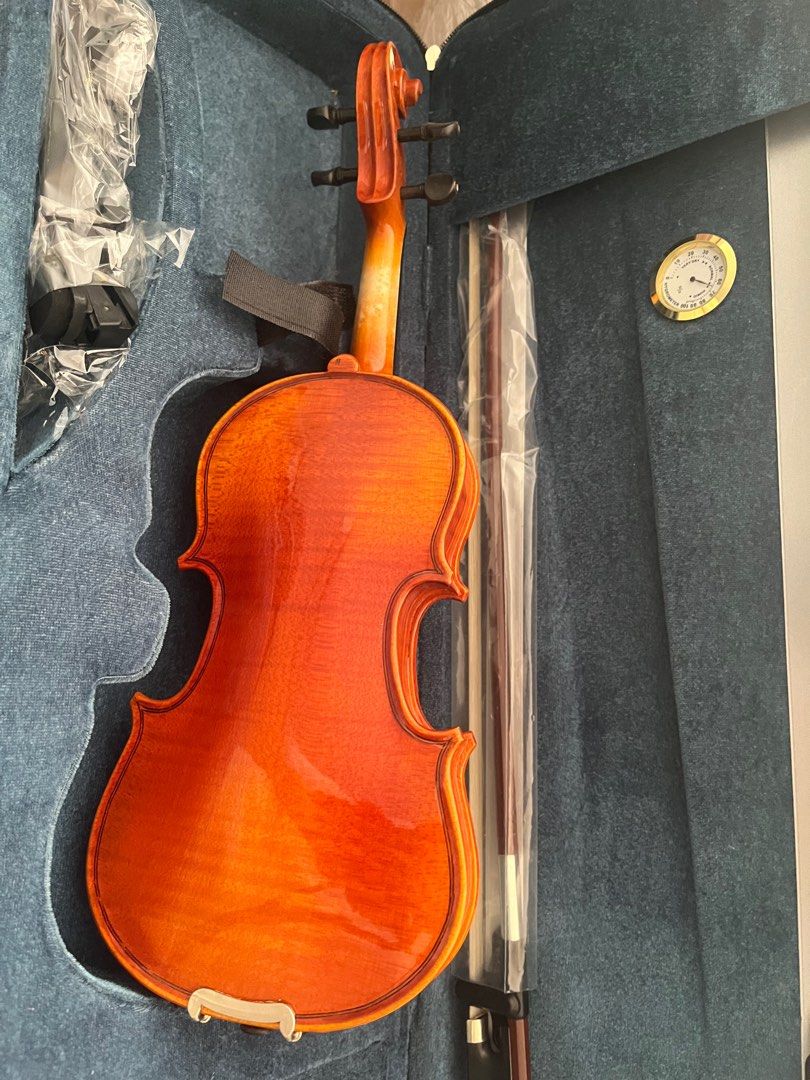 Handmade 1/10 violin one piece back, Hobbies & Toys, Music & Media ...