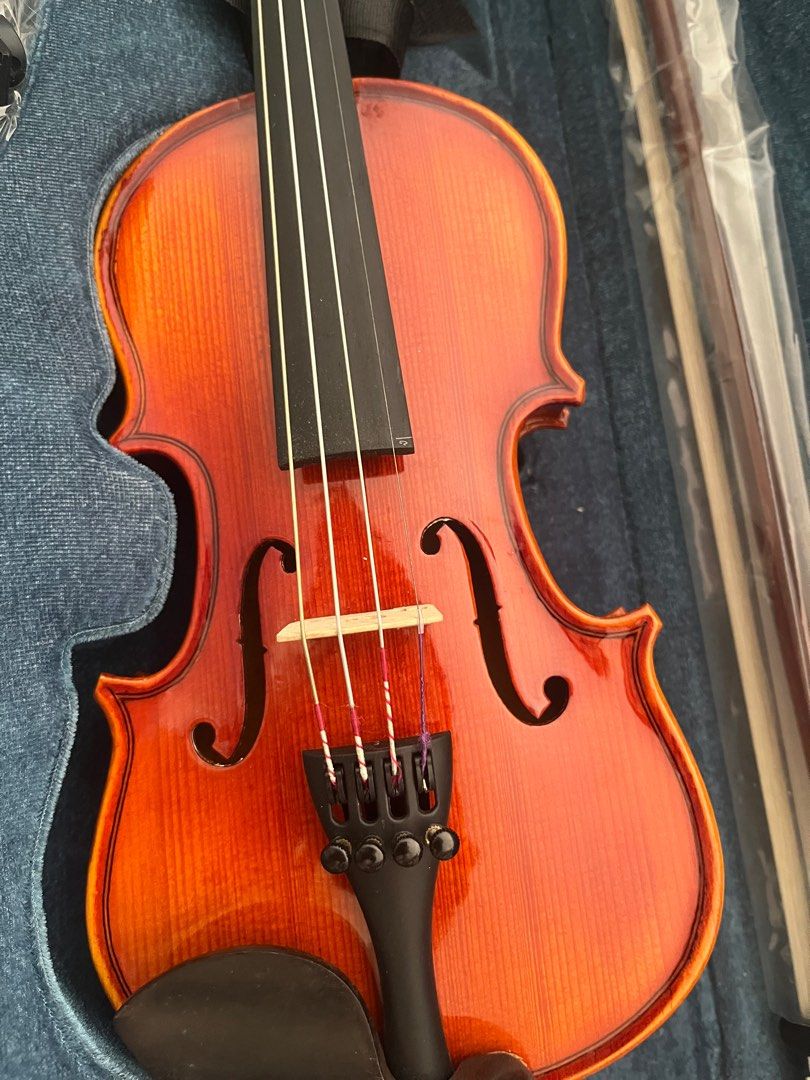 Handmade 1/10 violin one piece back, Hobbies & Toys, Music & Media, Musical Instruments on Carousell