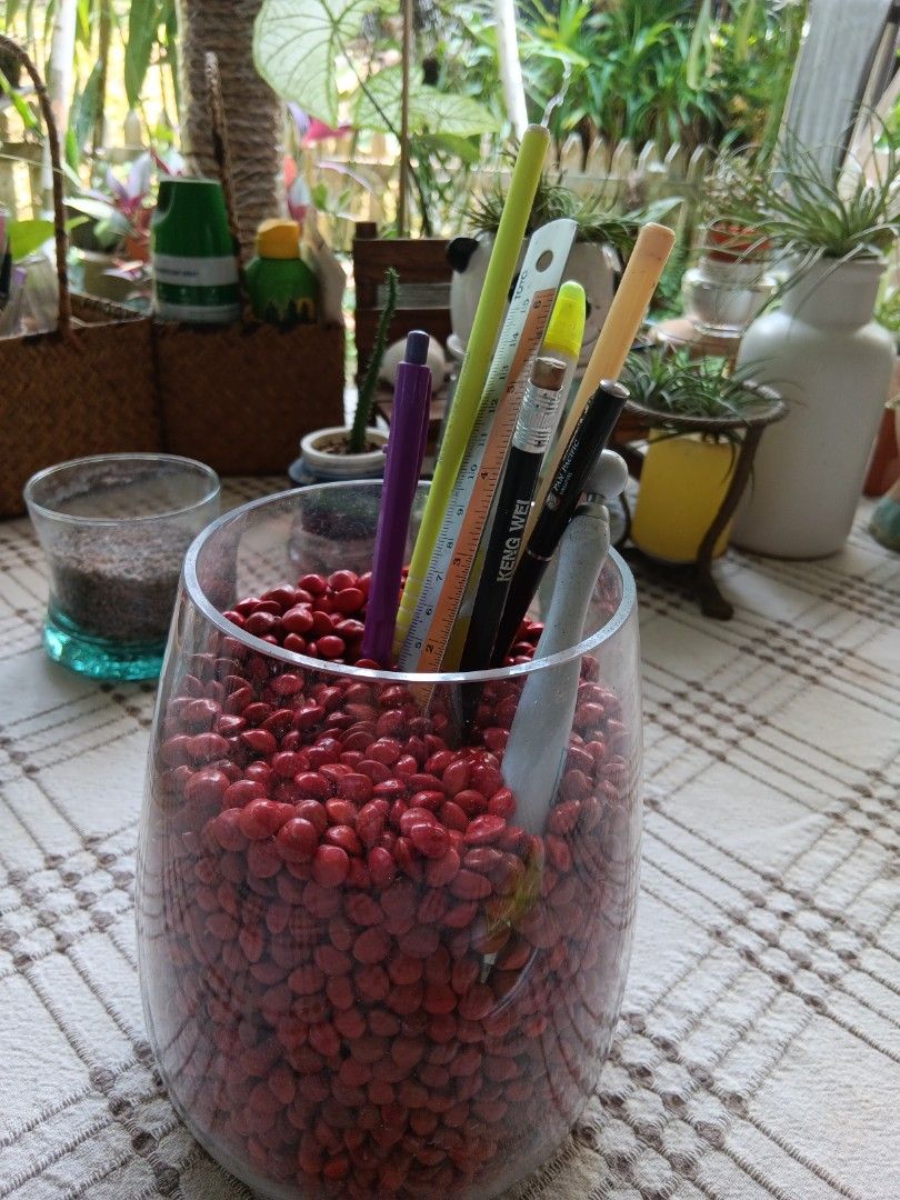 Saga seeds 300pcs...., Furniture & Home Living, Gardening, Plants ...