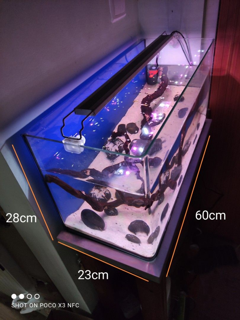 2ft fish tank set aquarium, Pet Supplies, Homes & Other Pet Accessories ...