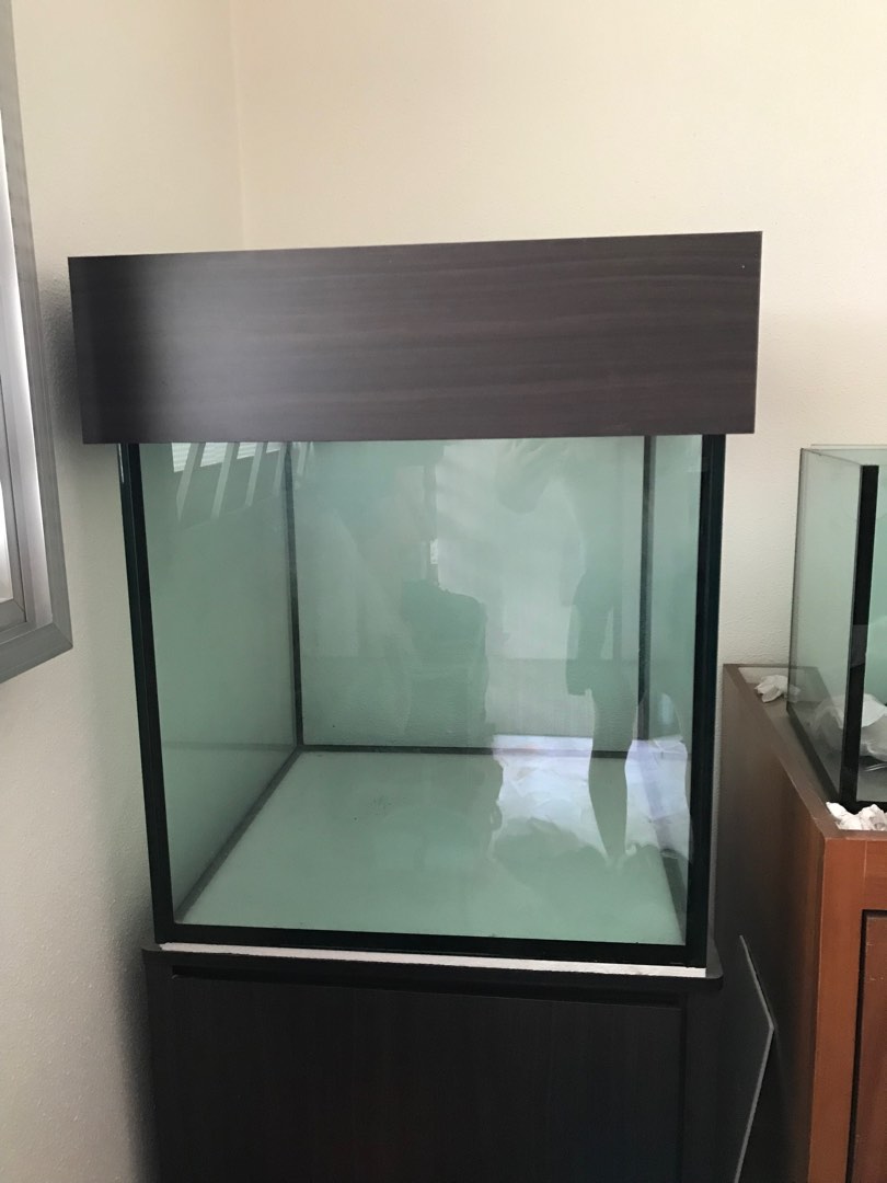 2ft X 2ft x 2ft 12mm glass tank & cabinet for sale., Pet Supplies ...