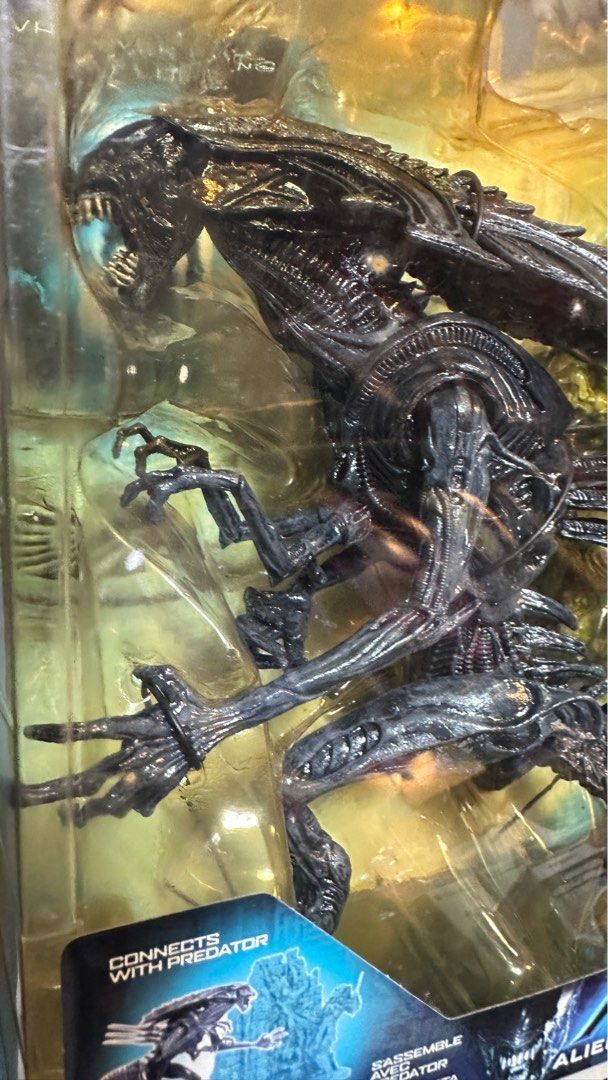 AVP ALIEN VS PREDATOR QUEEN Figure 皇后 異形 異獸戰 血獸 8”高 McFarland Toys 1盒 ...