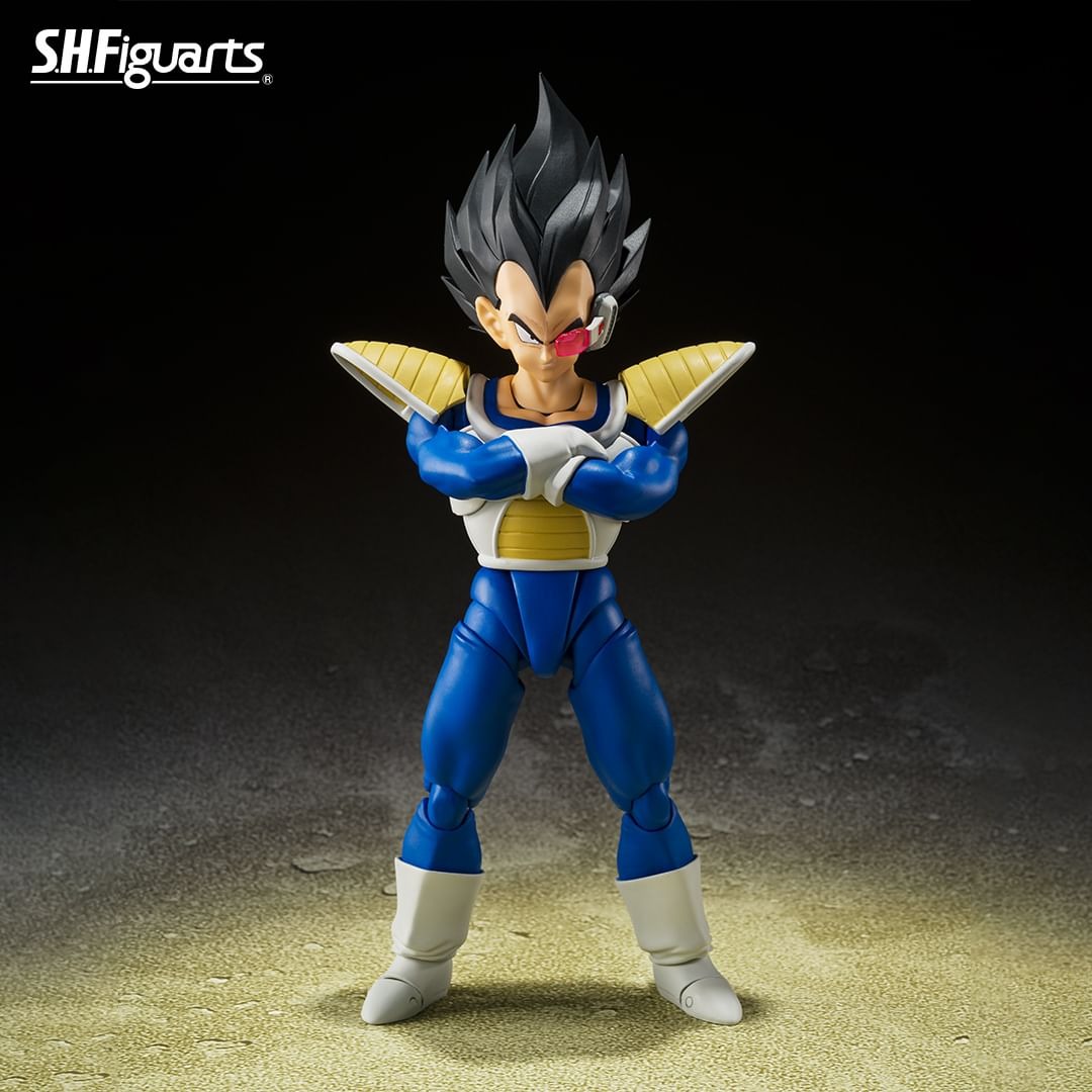 Bandai S.H.Figuarts - SHF Vegeta - 24000 Power Level - Dragon Ball Z, Hobbies & Toys, Toys ...
