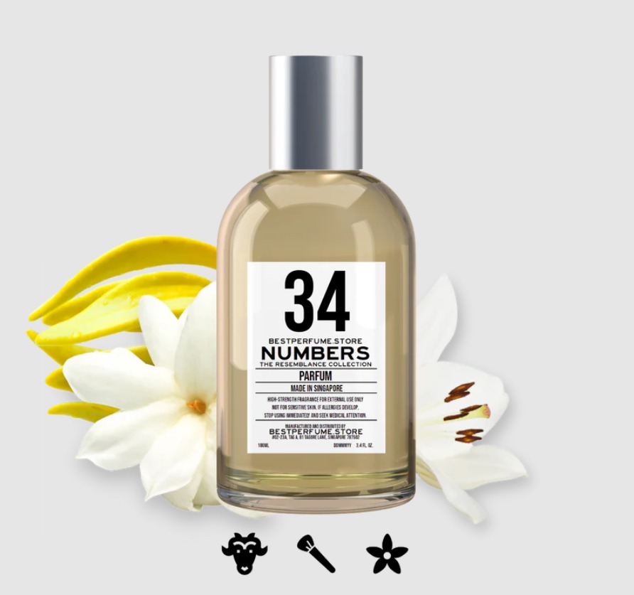 Best Perfume Store No. 34 Perfume, Beauty & Personal Care, Fragrance ...
