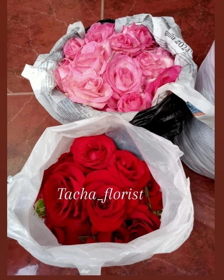 Bunga mawar segar kelopak dan untuk tabur cimahi bdg, Perkebunan di ...