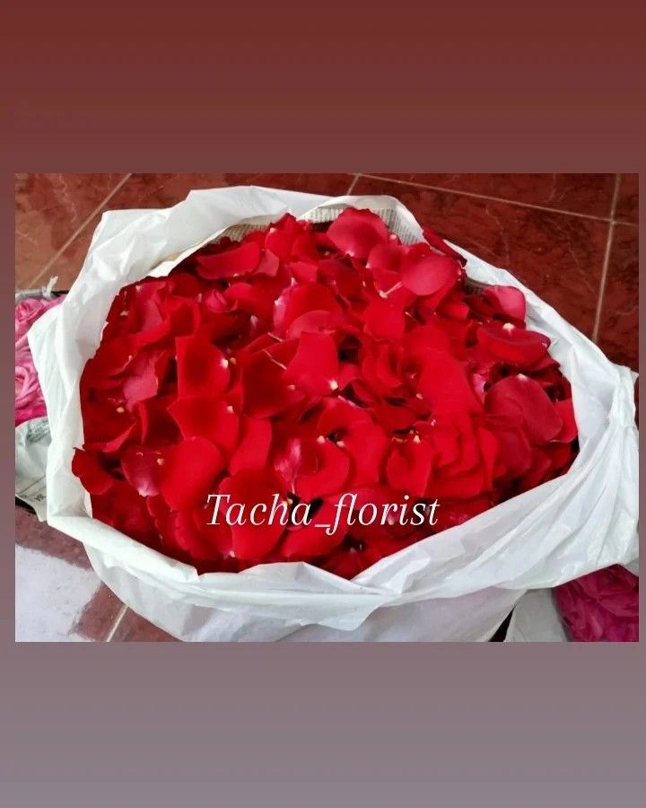 Bunga mawar segar kelopak dan untuk tabur cimahi bdg, Perkebunan di ...