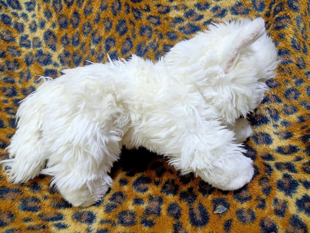 KEEL TOYS REALISTIC TIFFANY BLUE EYES WHITE COLORED SOFT CAT PLUSH ...