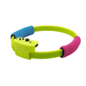 Nintendo Switch Fitness Ring Mini for Children with Leg Strap Ring Fit ...