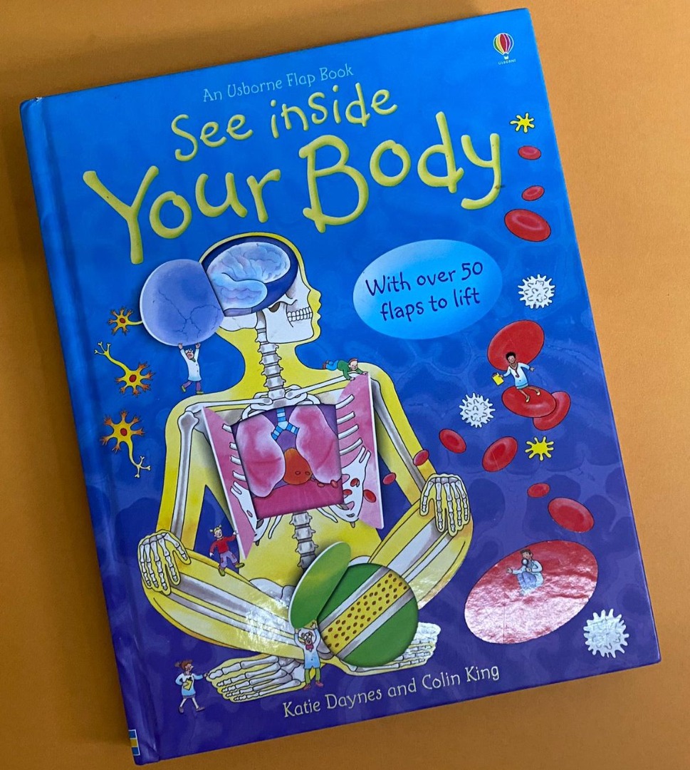 See Inside Your Body Board Book by Katie Daynes~Colin King, Hobbies ...