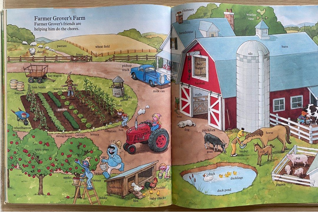 The Sesame Street Word Book (Hardcover) on Carousell