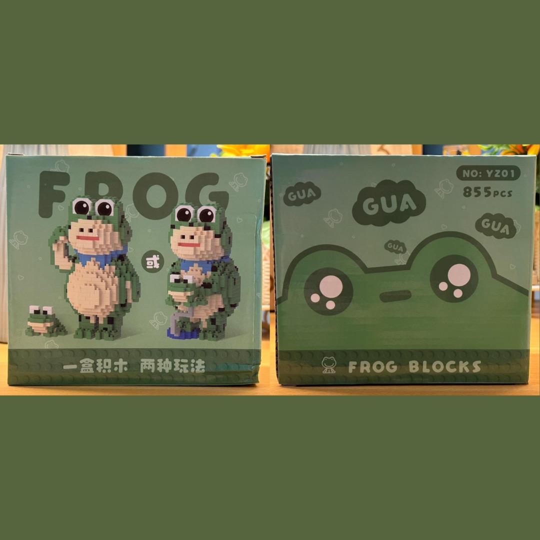 Tik Tok Frog Building Blocks, Hobbies & Toys, Toys & Games on Carousell