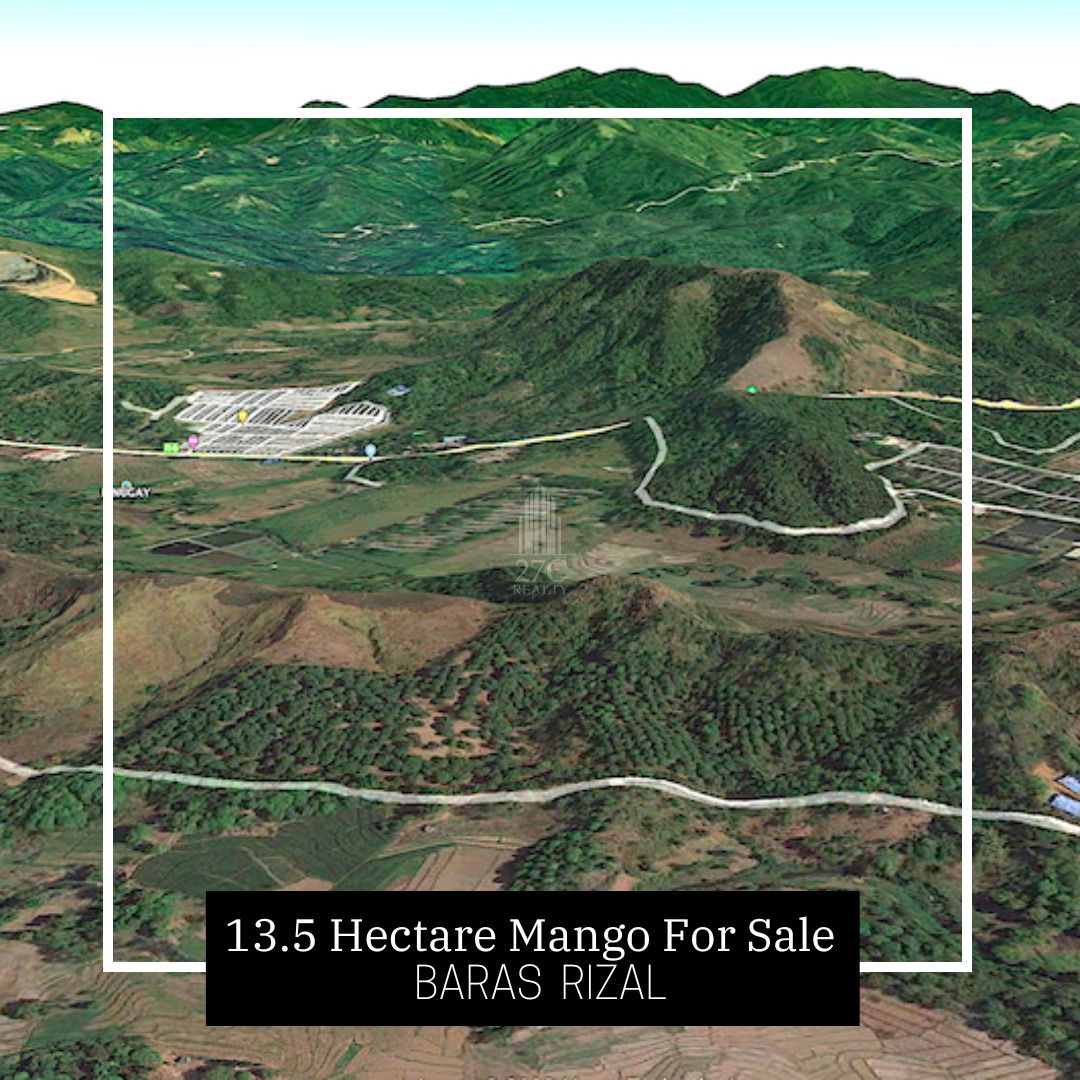 Baras, Rizal, Antipolo - 13.5 Hectare Mango Farm for Sale, Property ...