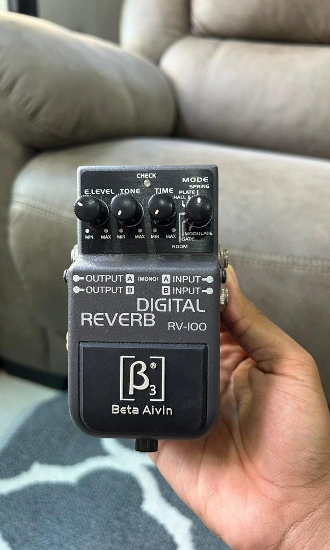 Beta Aivin Digital Reverb, Hobbies & Toys, Music & Media, Music ...