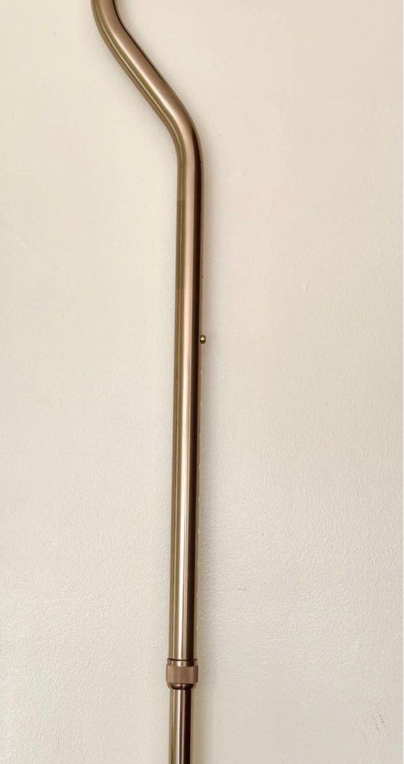 Bronze metal cane, Health & Nutrition, Assistive & Rehabilatory Aids ...
