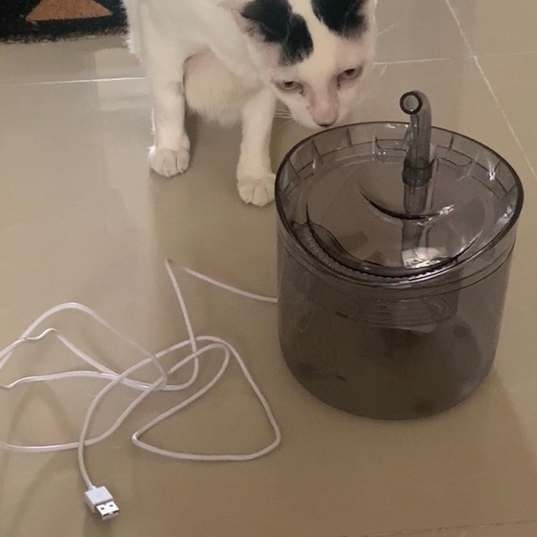 Cat Water Fountain Dispenser to USB A (without filter), Pet Supplies ...