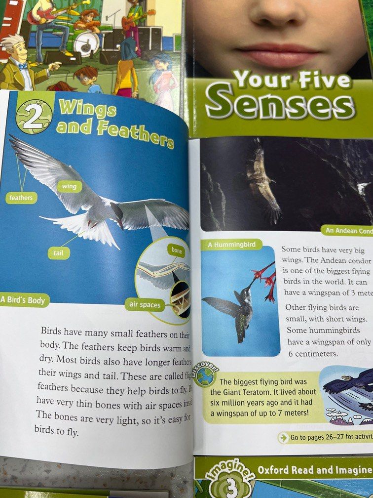 Discover3! Oxford read and discover series, Hobbies & Toys, Books ...