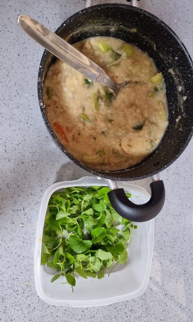 Edible ASIAN Pennywort/ Gotu Kola/ Daun Pengaga For Sale, Furniture ...