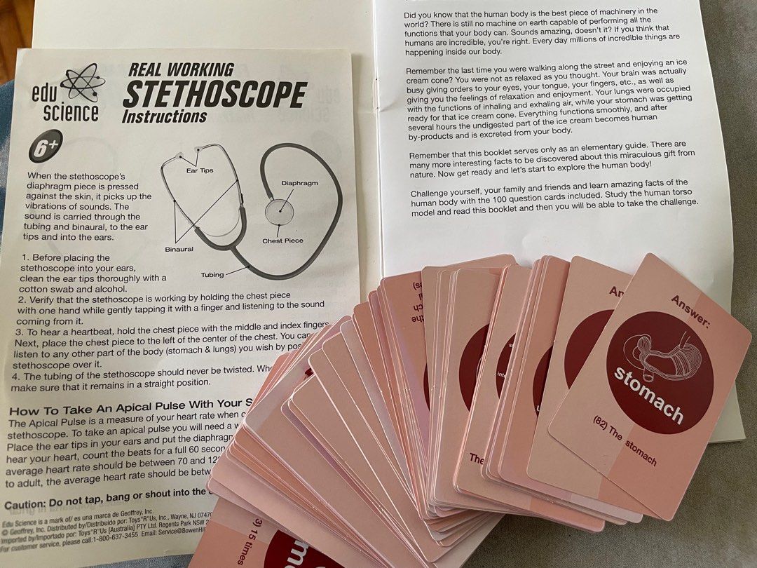 Eduscience Human torso game, Hobbies & Toys, Toys & Games on Carousell