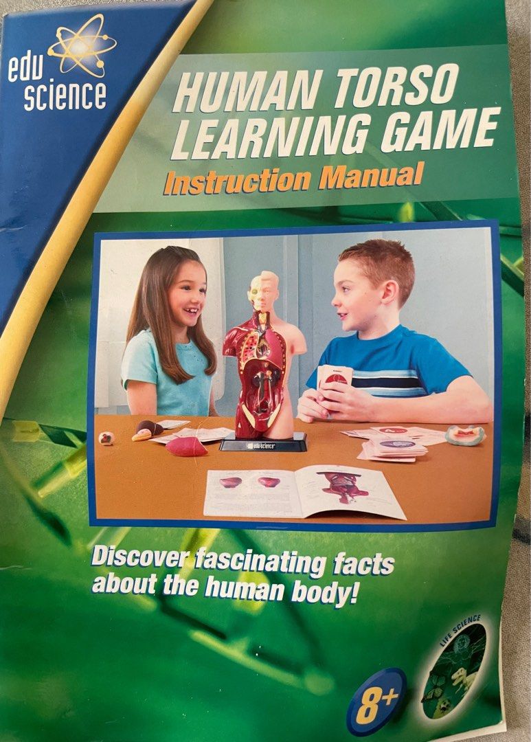 Eduscience Human torso game, Hobbies & Toys, Toys & Games on Carousell