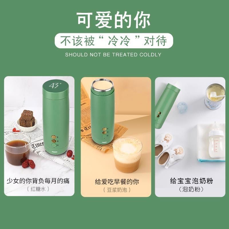 Portable Heating Thermal Flask (Wireless with USB Charging), Babies ...