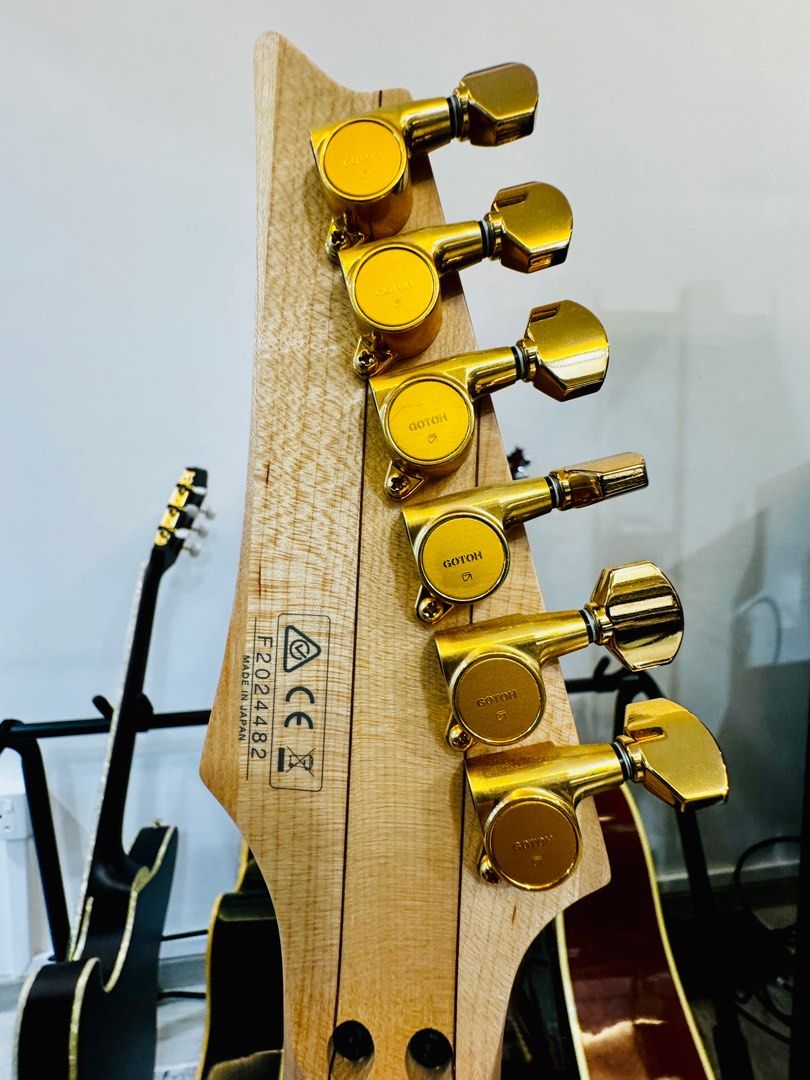 Ibanez PIA Panther Pink Steve Vai, Hobbies & Toys, Music & Media ...