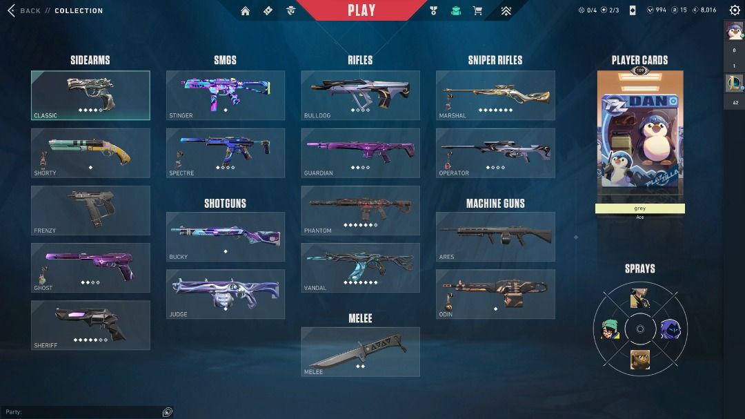 IMM Valorant acc w Champion Phantom 10 Premium, Video Gaming, Gaming ...