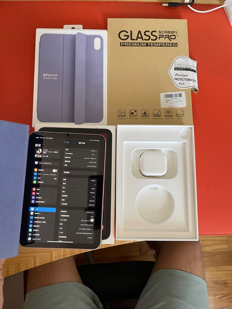 iPad Mini 6 Wifi + Cellular Pink 256GB, Mobile Phones & Gadgets, Tablets, iPad on Carousell