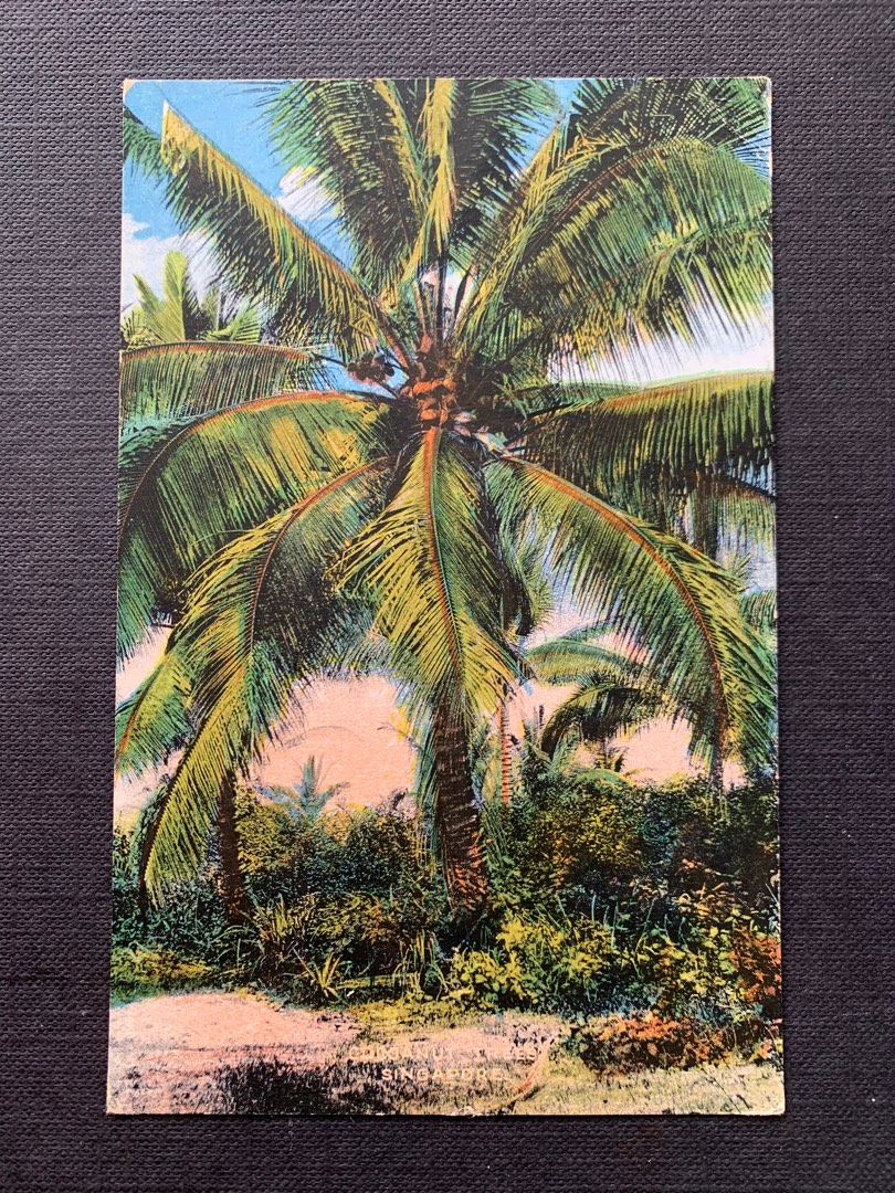 Malaya COCONUT Trees 1928 King George V, Hobbies & Toys, Collectibles ...