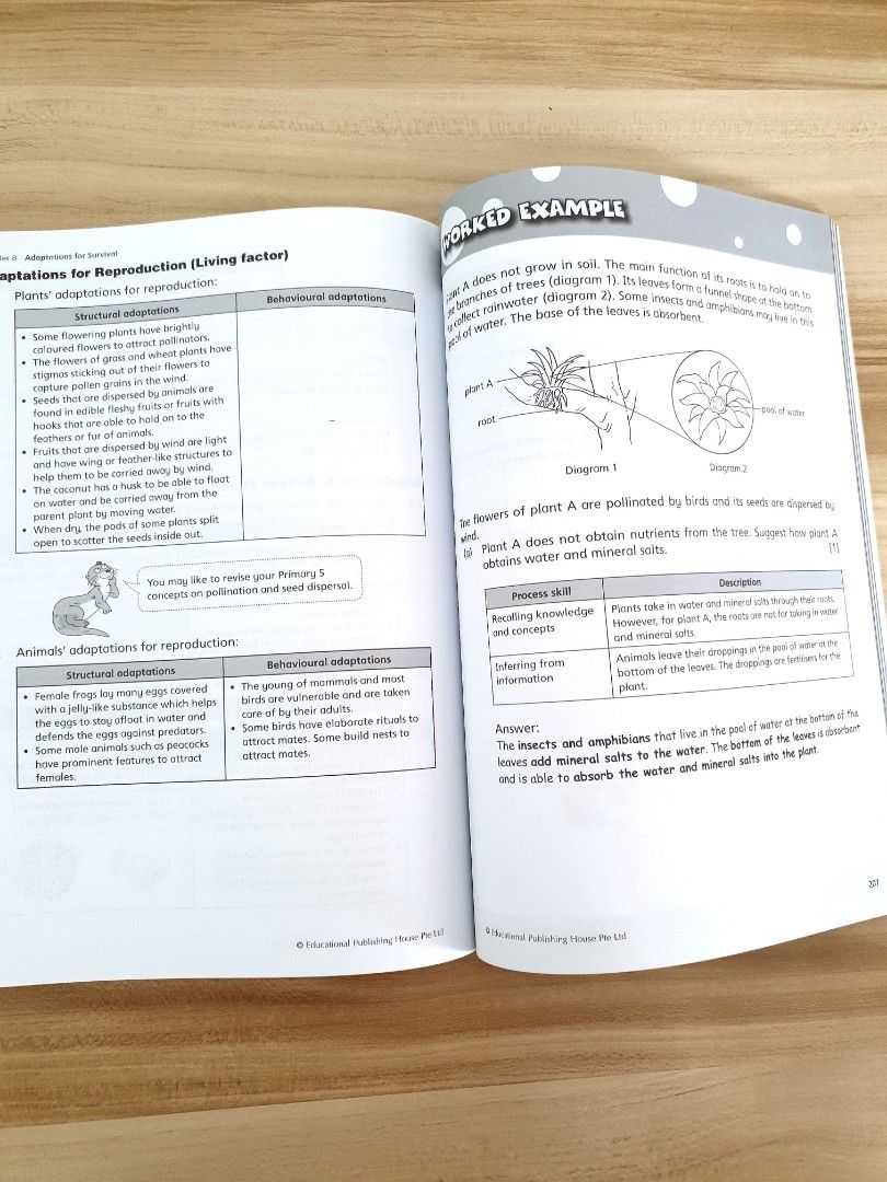 P6 Must Know Science Process Skills and Key Words, Hobbies & Toys ...