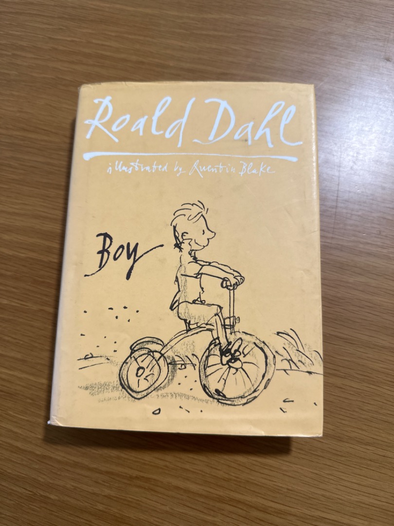 Roald Dahl: Boy (Hardcover ), Hobbies & Toys, Books & Magazines ...