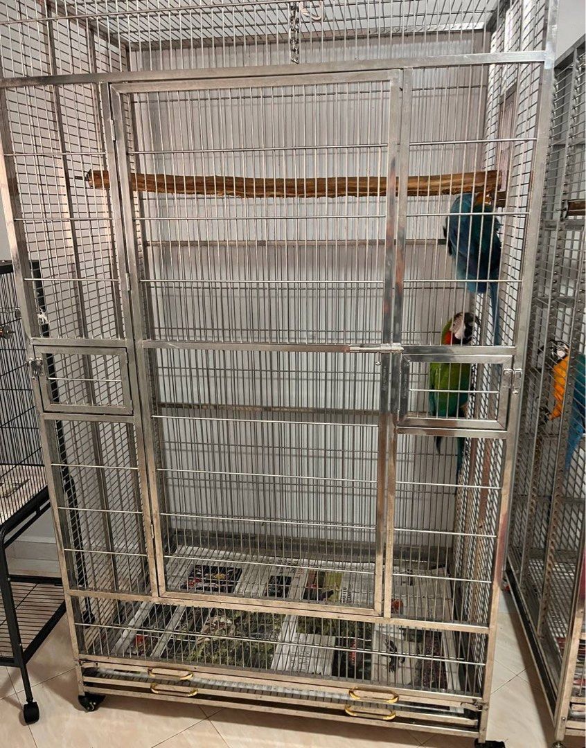 SS304 LARGE BIRD CAGE FOR SALE, Pet Supplies, Homes & Other Pet ...