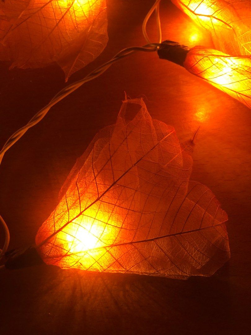 Thai Fire String Lights Bodhi Leave Flower Fairy Lights, Furniture ...