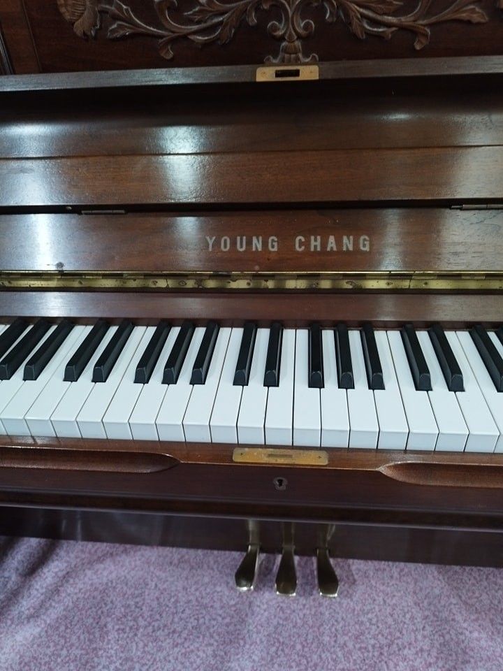 Young chang Upright Piano Free delivery with warranty, Hobbies & Toys ...