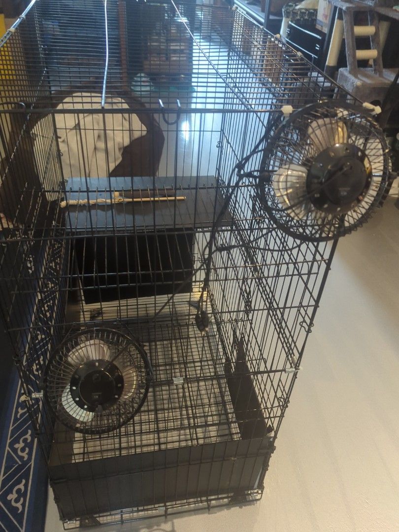 3 TIER PREMIUM CAT CAGE WITH FANS, Pet Supplies, Homes & Other Pet ...