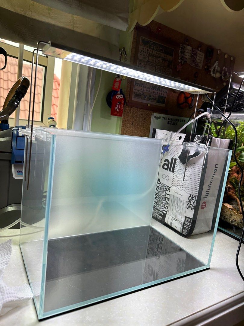 ANS 36cm Crystal glass fish tank with frosted Oyama background ...