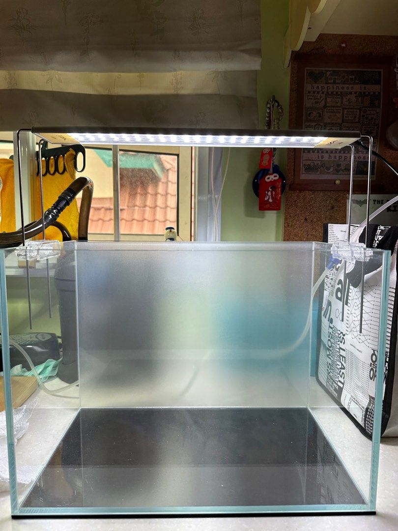 ANS 36cm Crystal glass fish tank with frosted Oyama background ...