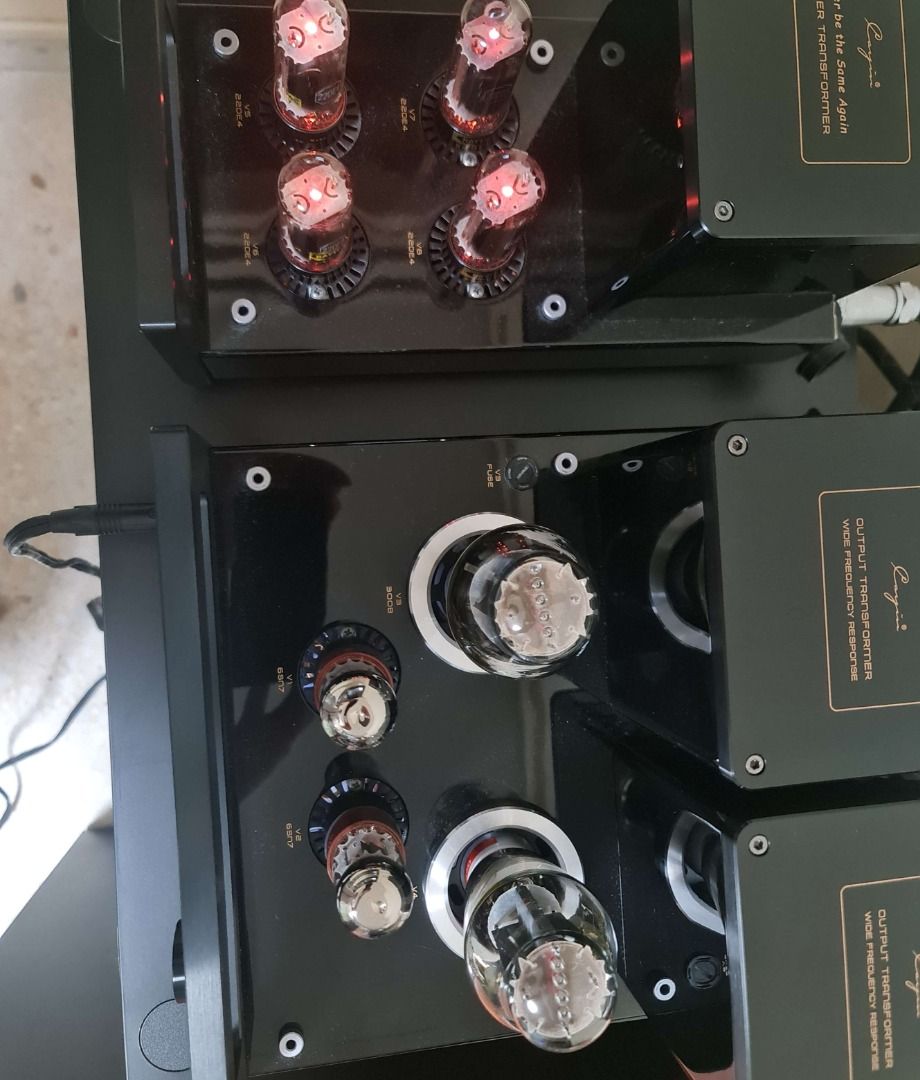 Cayin HA-300 HA300B MK2 MK-ii 300b with extra 22DE4s, Tube Headphone amp with speaker output ...