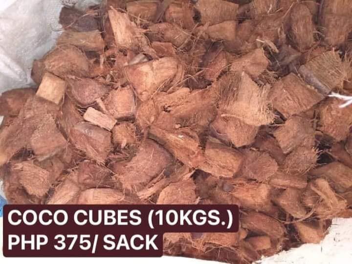 Coco cubes 10kg, Furniture & Home Living, Gardening, Gardening Tools ...