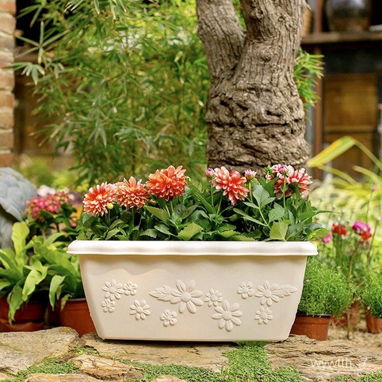 BN Cream white Rectangular Flower pot, planter pot, Furniture & Home ...