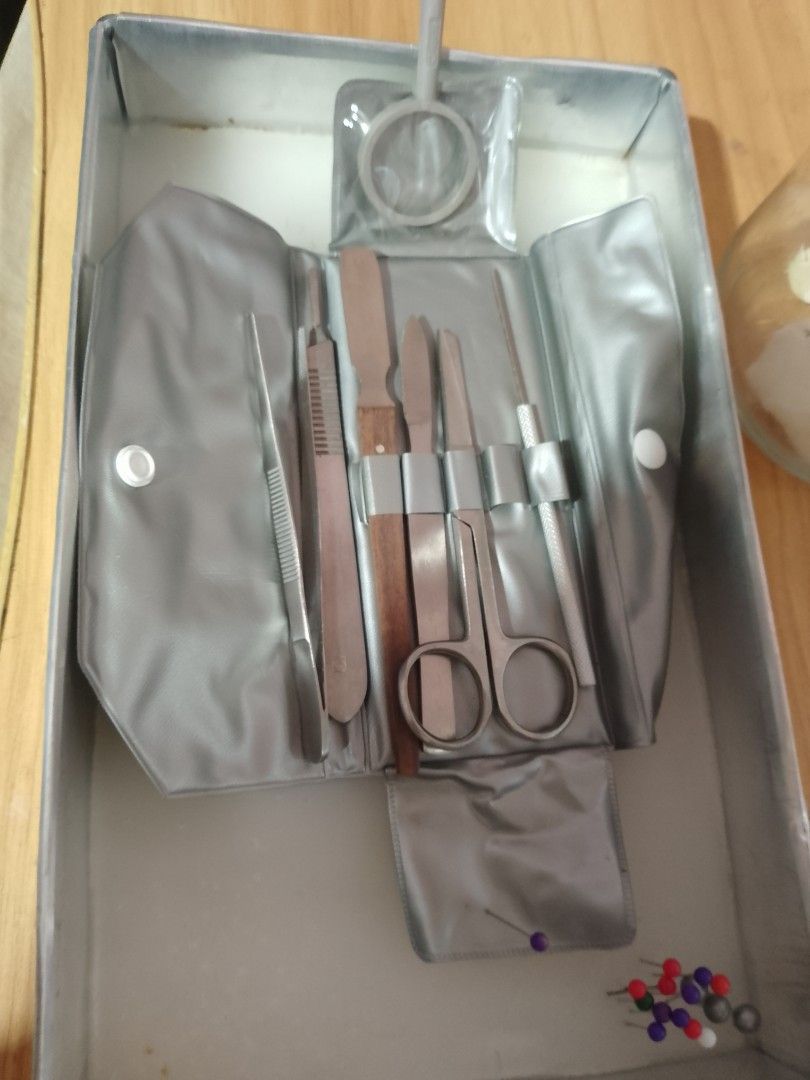Dissecting Kit (Tools + Jar), Health & Nutrition, Medical Supplies & Tools on Carousell