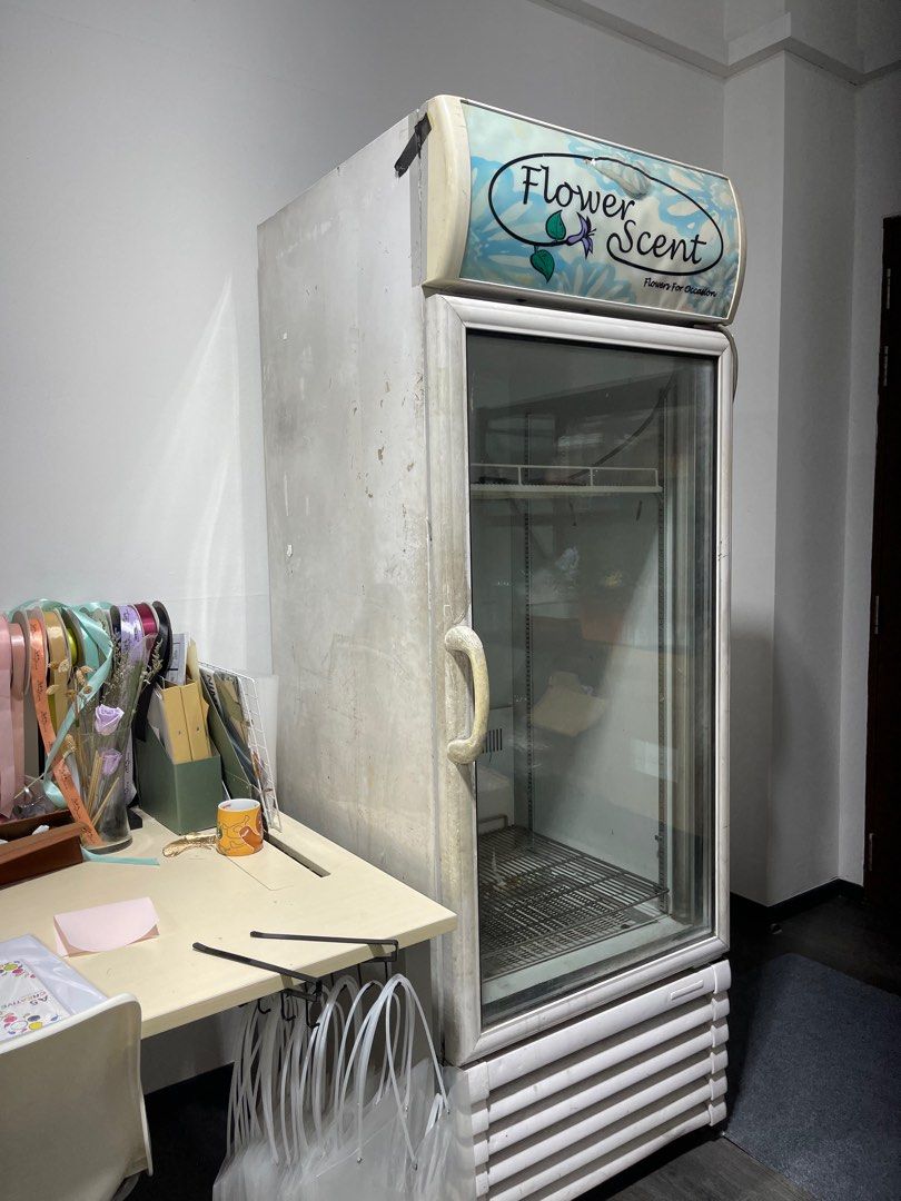 Floral fridge, TV & Home Appliances, Kitchen Appliances, Refrigerators ...