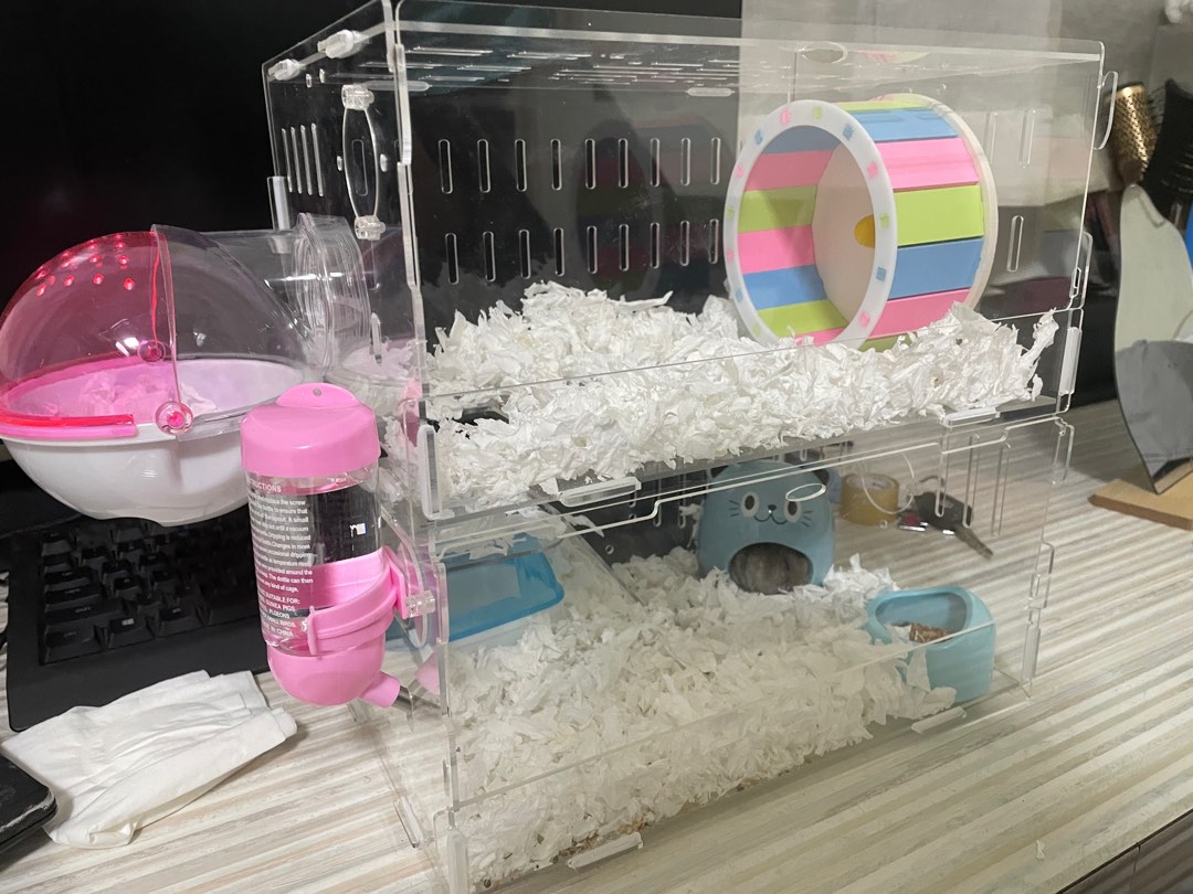 Hamster Acrylic Cage, Pet Supplies, Homes & Other Pet Accessories on ...
