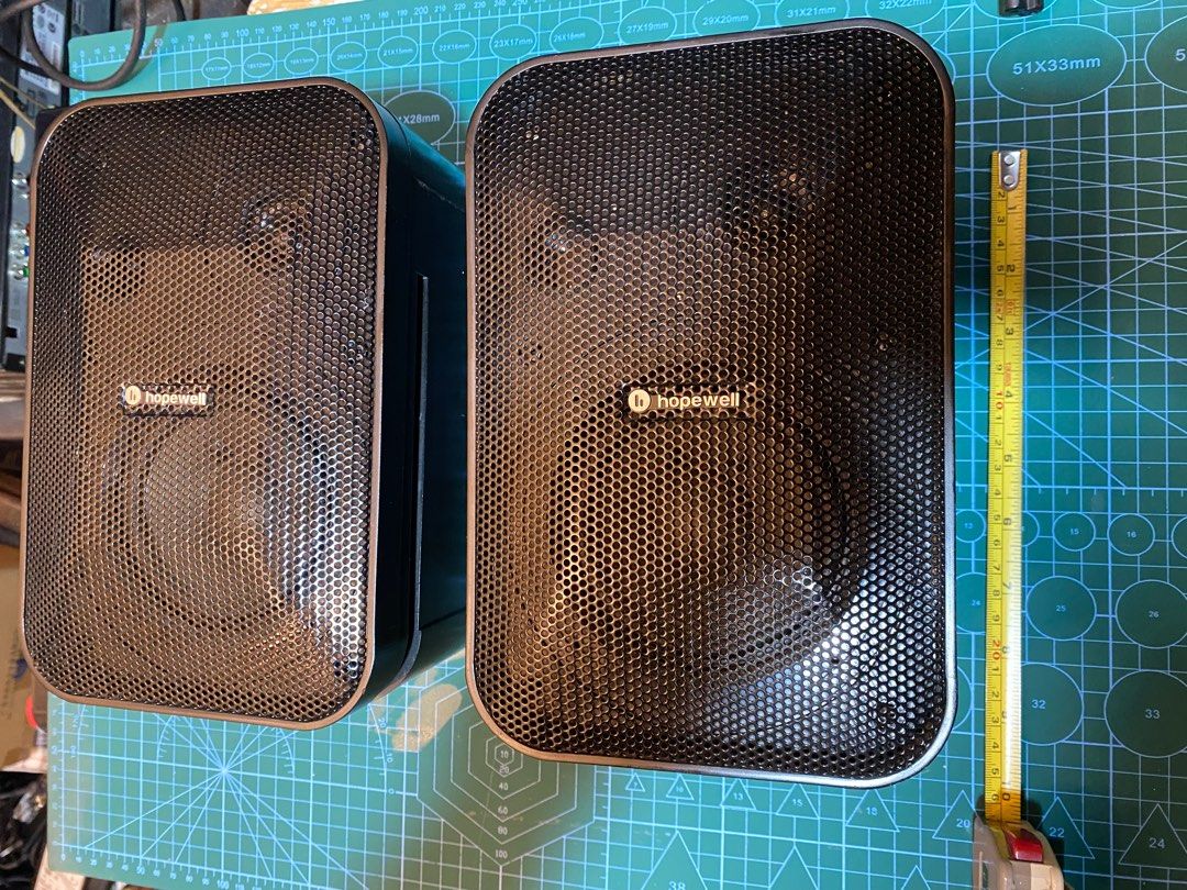 Hopewell 9” 2way home theater speaker CD9900 啦叭, 音響器材, Soundbar、揚聲器、藍牙 ...